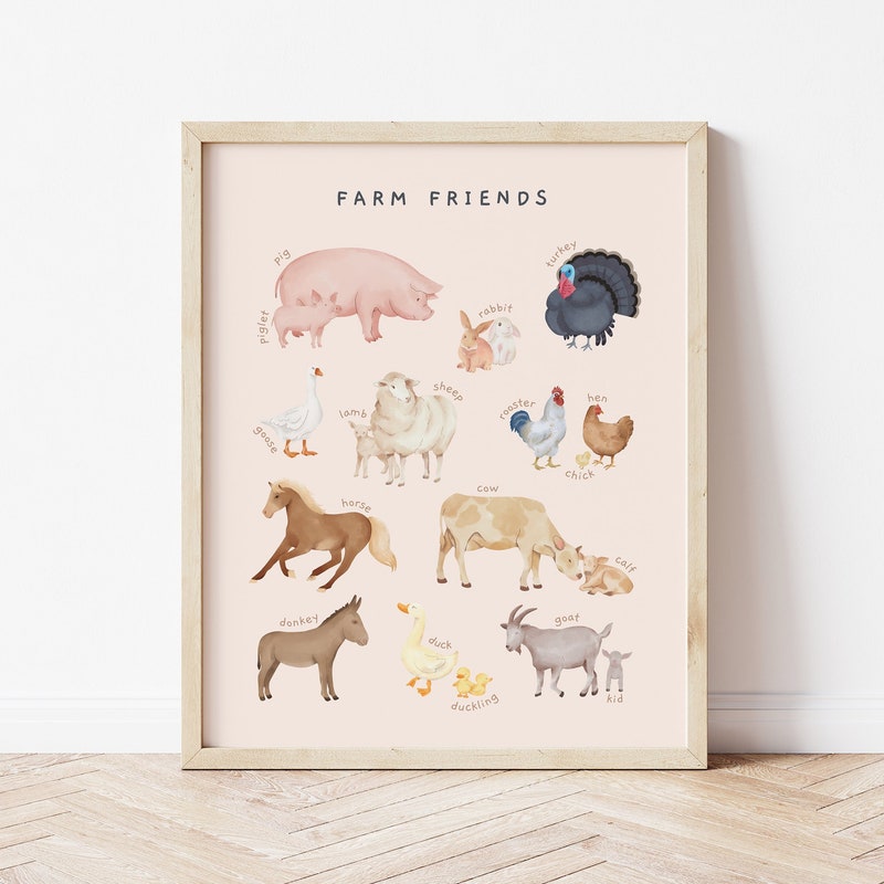 Educational Poster - Etsy