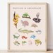Food & Kitchen Educational Posters Set of 8 Printable Montessori ...