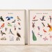Set of 2 Birds Educational Posters | Montessori Wild Exotic Animals ...