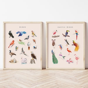 Set of 2 Birds Educational Posters | Montessori Wild Exotic Animals ...