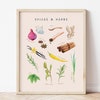 Food & Kitchen Educational Posters Set of 8 Printable Montessori ...