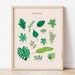 Animal Tracks Educational Posters Watercolor Montessori Printable ...