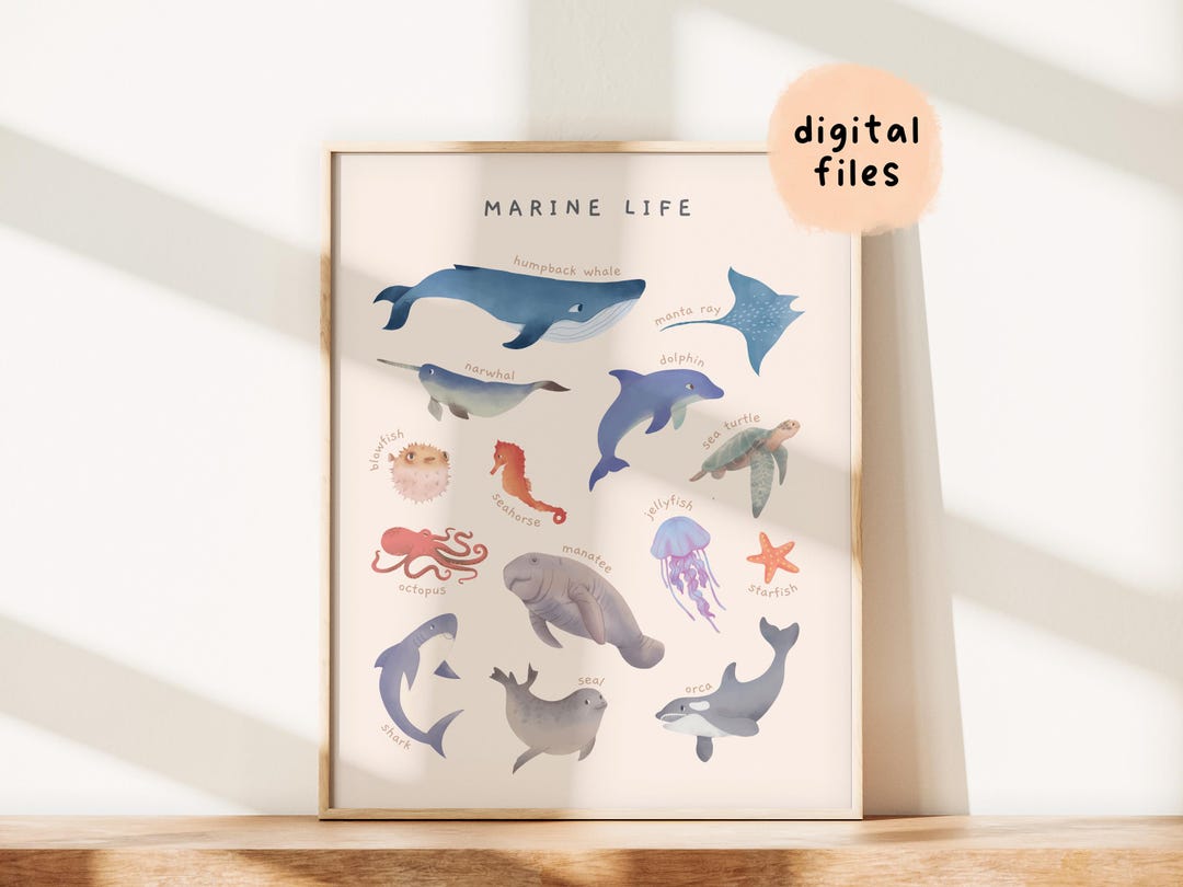 Marine Life Educational Poster | Ocean Animals Montessori Homeschool ...