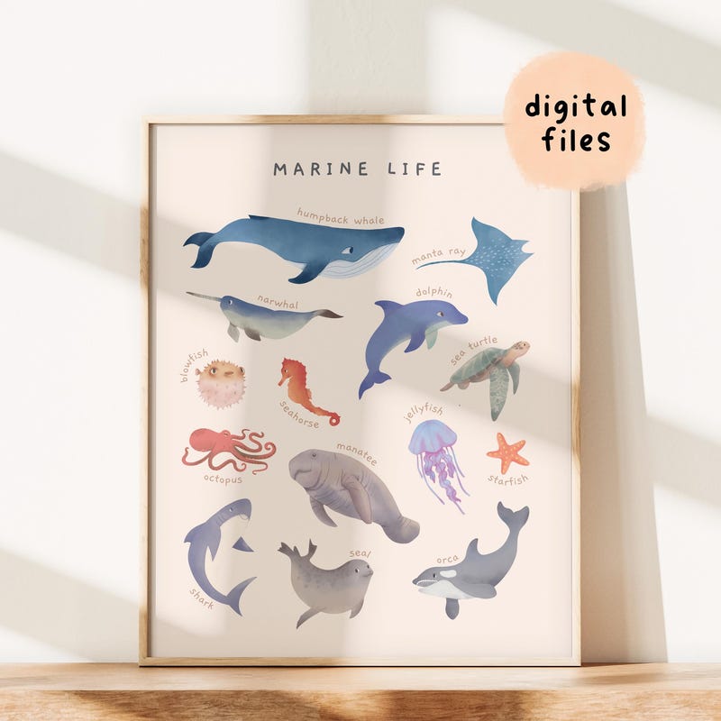 Ocean Life Print - Etsy