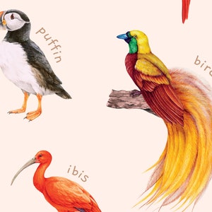 Set of 2 Birds Educational Posters | Montessori Wild Exotic Animals ...