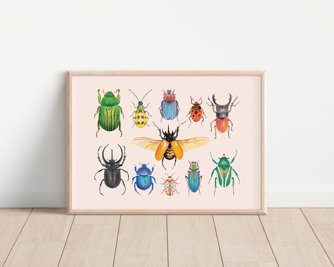 Vibrant Beetles Bugs Insects Poster | Watercolor Nature Theme Animals ...