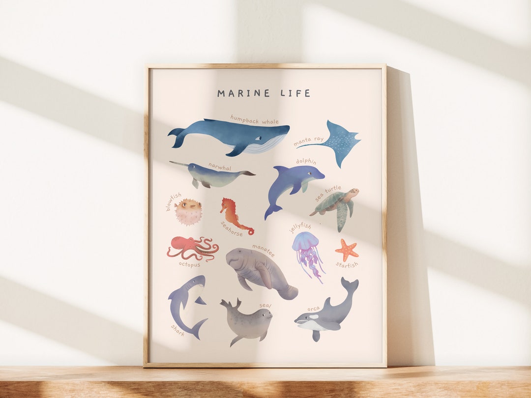 Marine Life Educational Poster Ocean Animals Montessori Homeschool ...