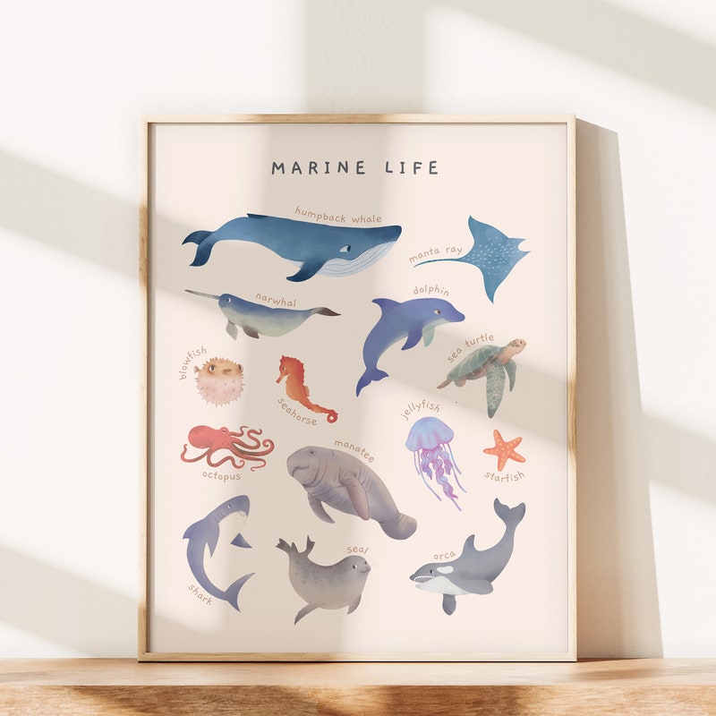 Animal Poster - Etsy