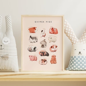 Guinea Pig Breeds Educational Poster | Printable Homeschool Pet Digital ...