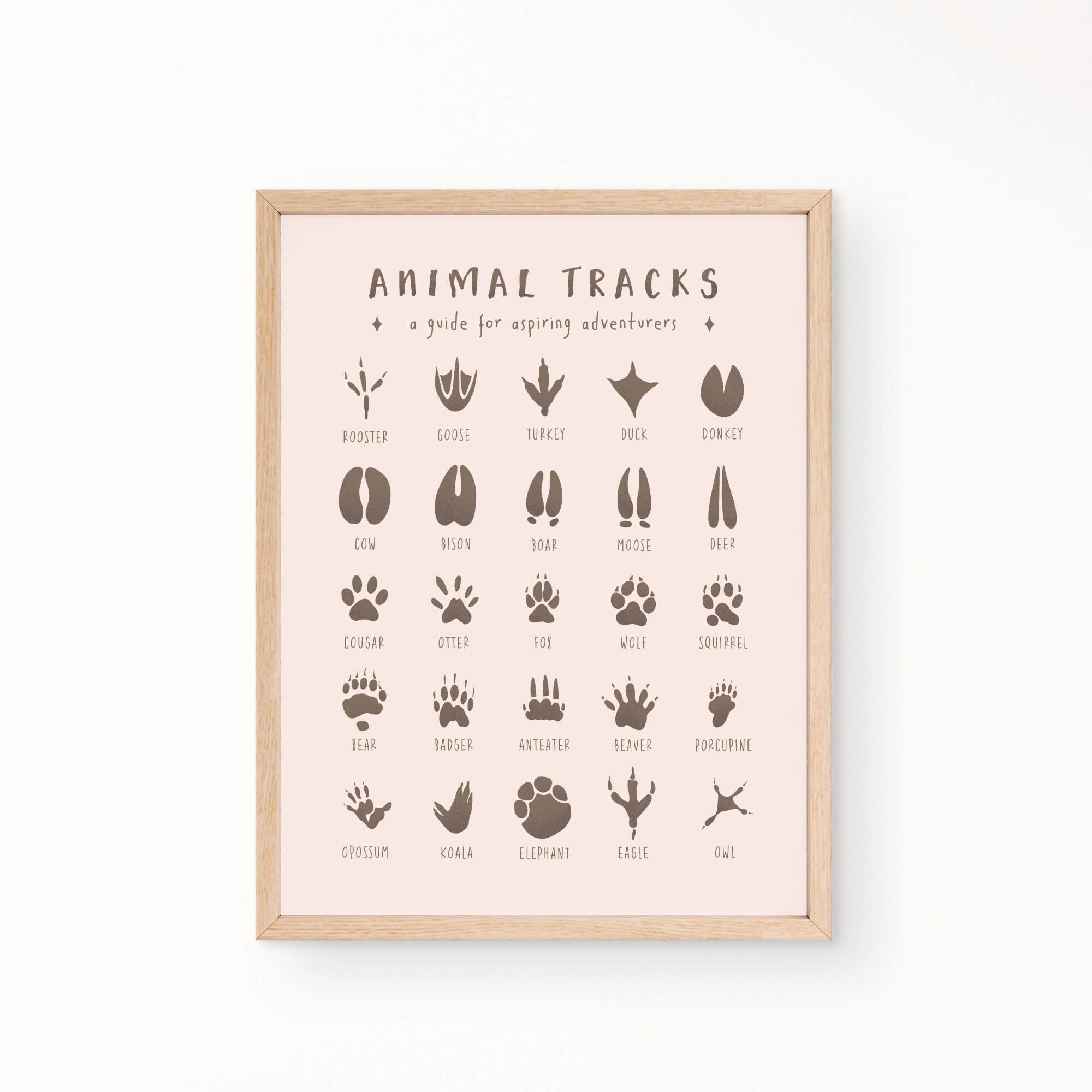 Animal Tracks Educational Posters Watercolor Montessori Printable ...