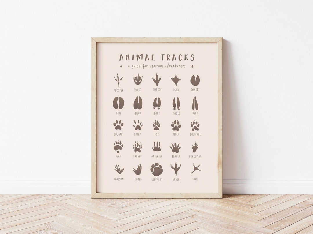 Animal Tracks Educational Posters Watercolor Montessori Printable ...