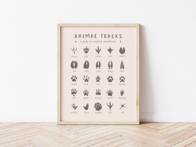 Animal Tracks Educational Posters Watercolor Montessori Printable ...