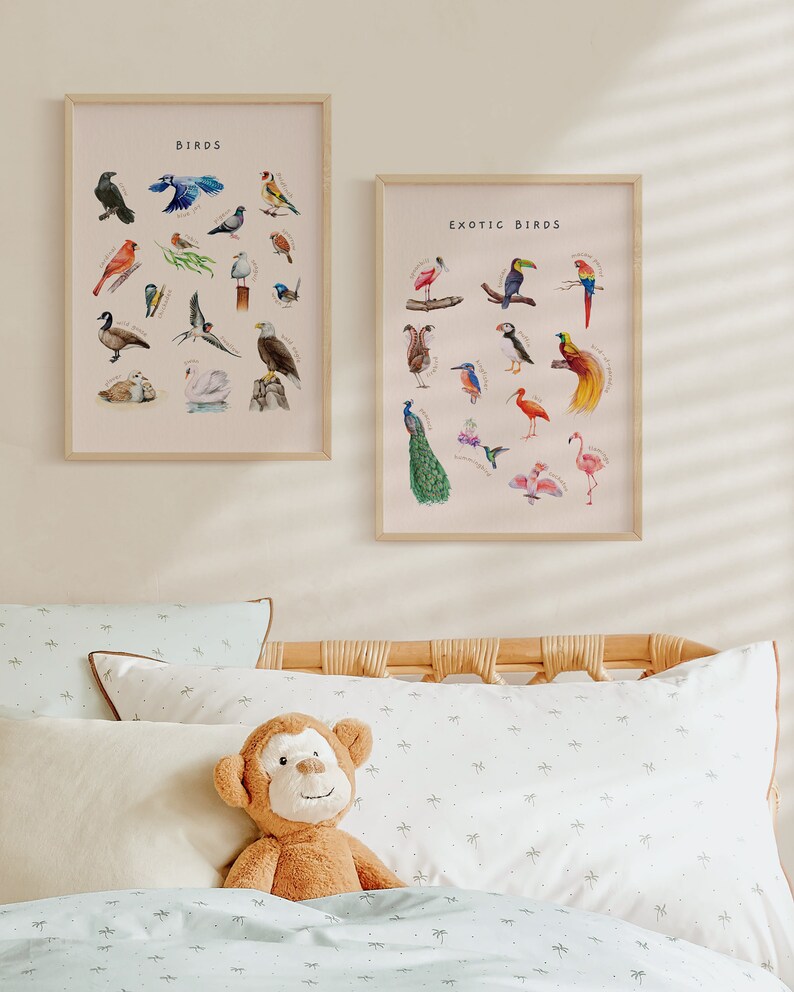 Set of 2 Birds Educational Posters | Montessori Wild Exotic Animals ...