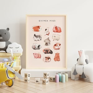 Guinea Pig Breeds Educational Poster | Printable Homeschool Pet Digital ...