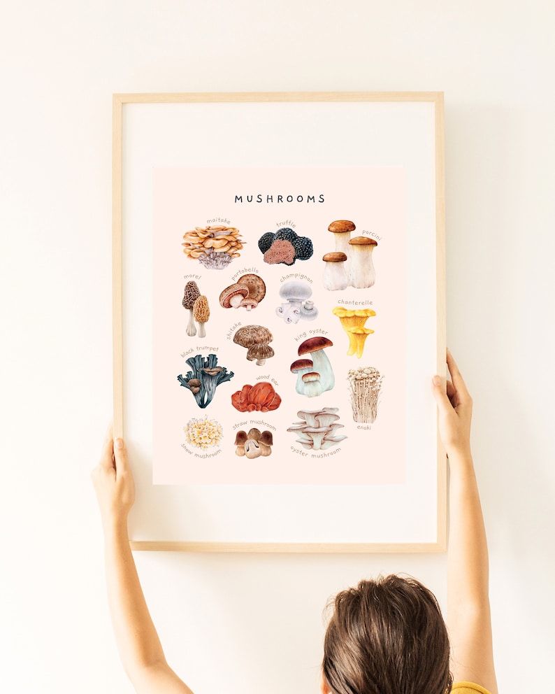 Edible Mushroom Types Poster: Watercolor Montessori Kitchen Art ...