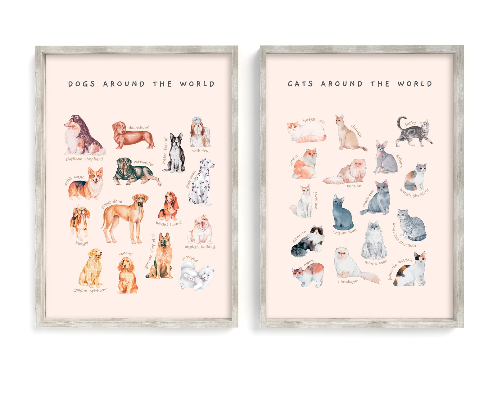 Cat & Dog Breeds Educational Posters Set of 2 Printable - Etsy