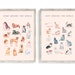 Cat & Dog Breeds Educational Posters Set of 2 Printable - Etsy