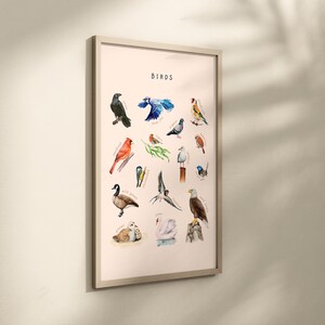 Set of 2 Birds Educational Posters | Montessori Wild Exotic Animals ...