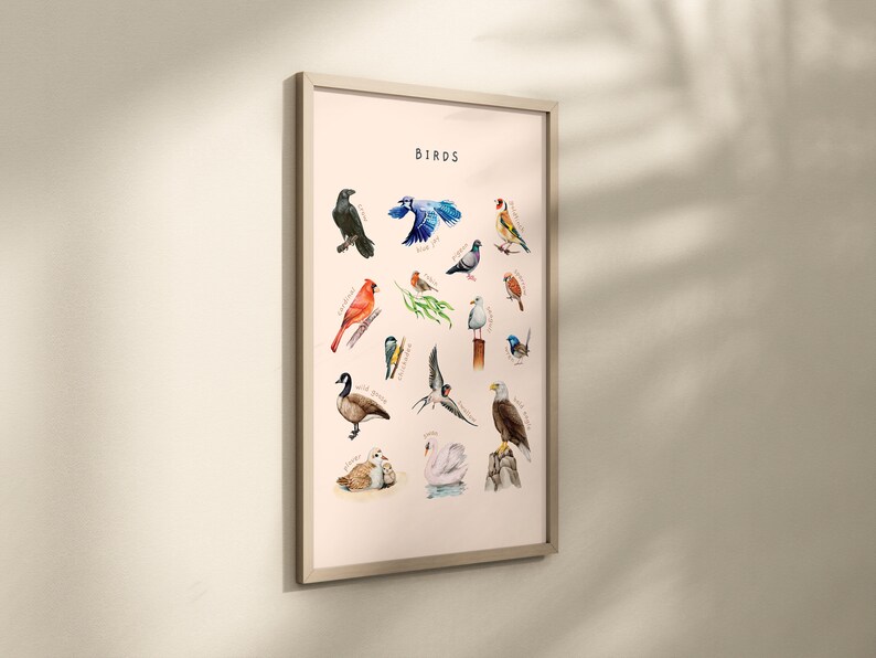 Set of 2 Birds Educational Posters Montessori Wild Exotic Animals ...