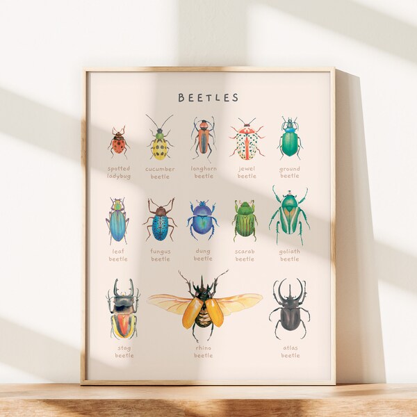 Watercolor Beetle - Etsy