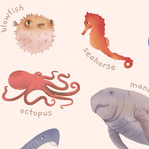 Marine Life Educational Poster | Ocean Animals Montessori Homeschool ...