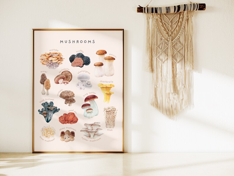 Edible Mushroom Types Poster: Watercolor Montessori Kitchen Art ...