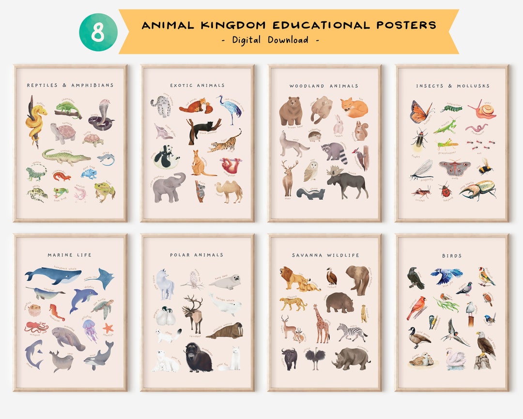 Set of 8 Animals Educational Posters | Watercolor Nature Theme ...