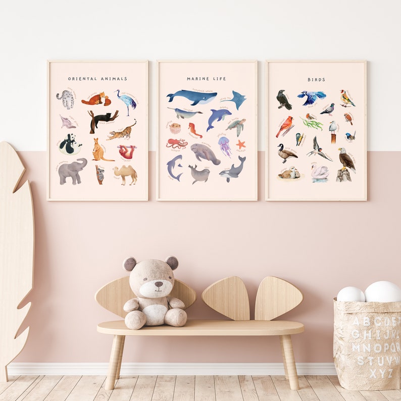Set of 8 Animals Educational Posters Watercolor Nature Theme - Etsy