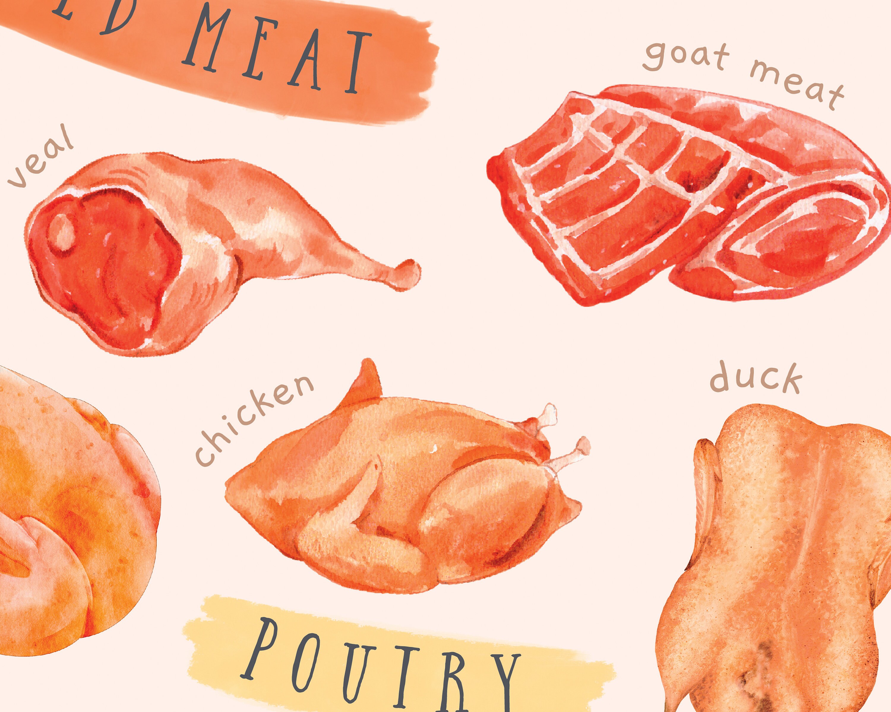 Types of Meat Educational Poster Watercolor Food Illustration Kitchen ...
