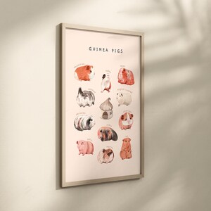 Guinea Pig Breeds Educational Poster | Printable Homeschool Pet Digital ...