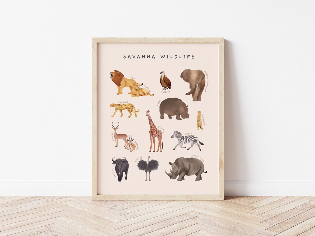 Savanna Animals Educational Poster Watercolor Illustrated African ...