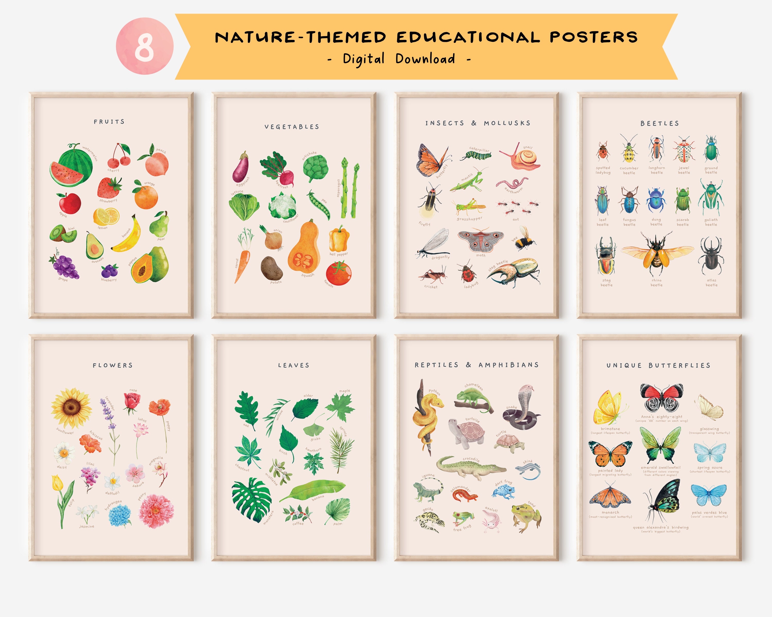 Set of 8 Nature Themed Posters Fruits Veggies Flowers Leaves Beetles ...