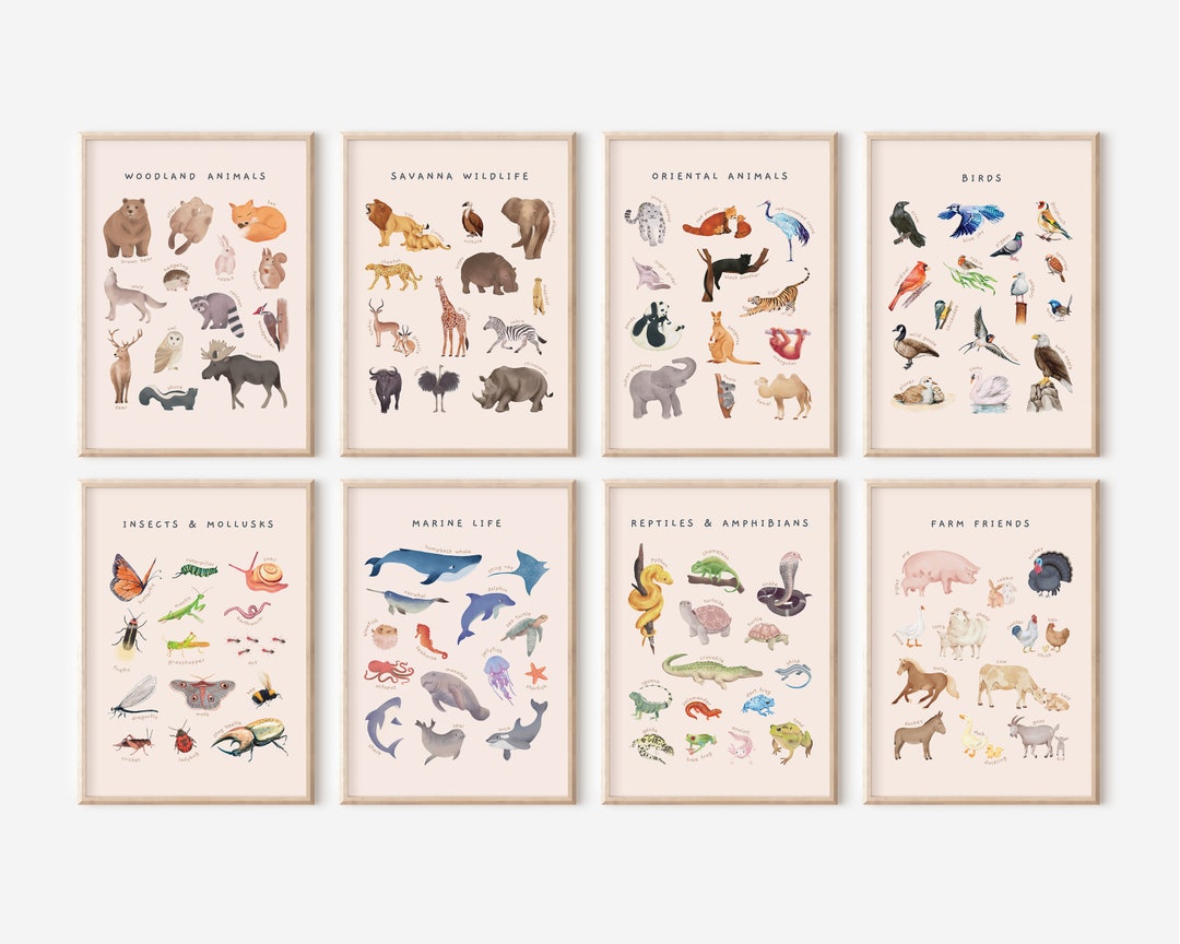 Set of 8 Animals Educational Posters Watercolor Nature Theme - Etsy