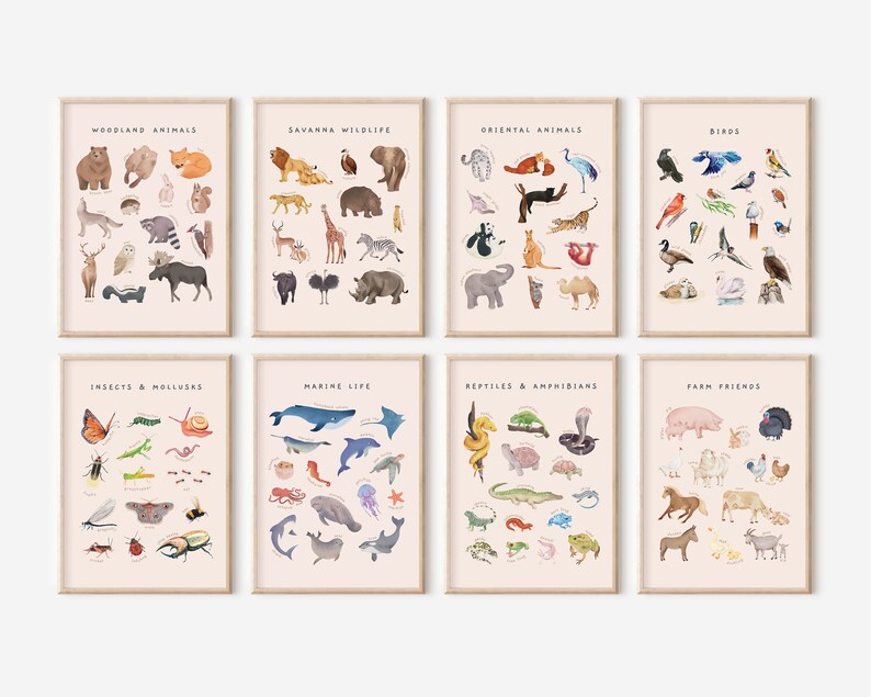 Set of 8 Animals Educational Posters Watercolor Nature Theme - Etsy