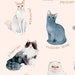 Cat & Dog Breeds Educational Posters Set of 2 Printable Toddler Room ...