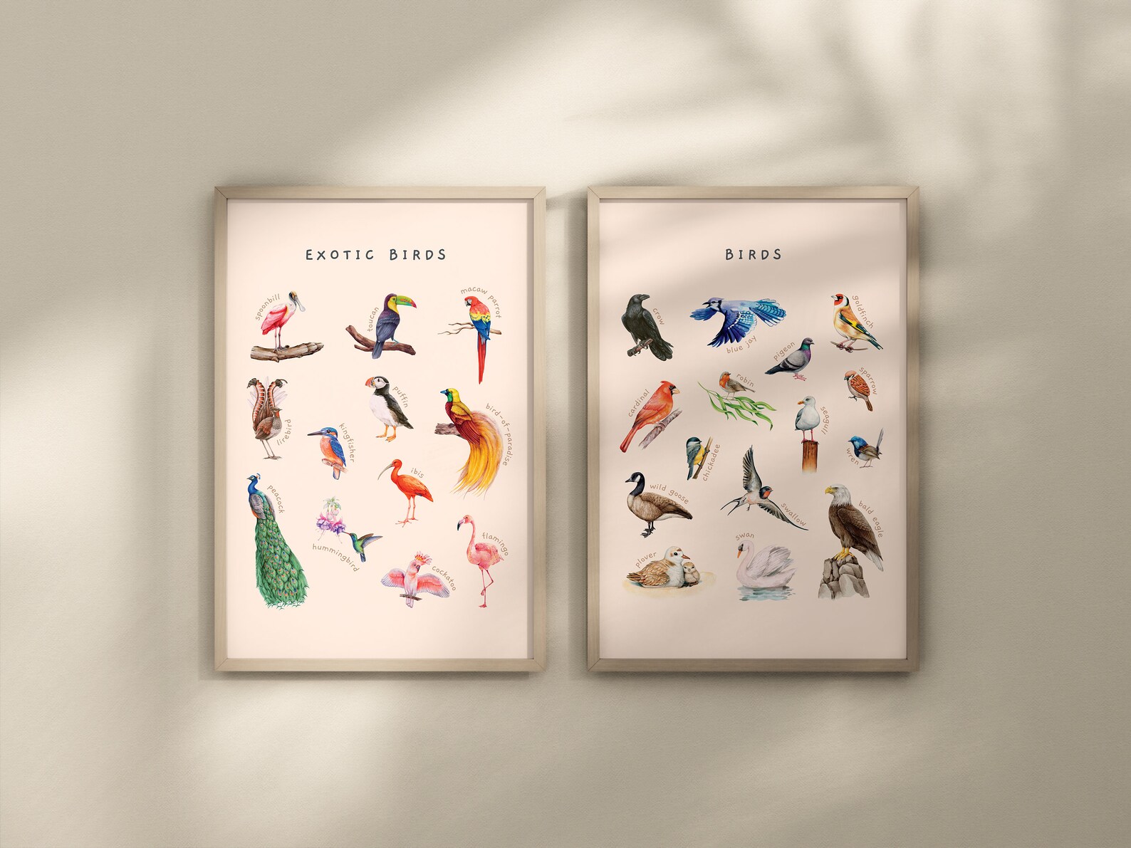 Set of 2 Birds Educational Posters Montessori Wild Exotic Animals ...