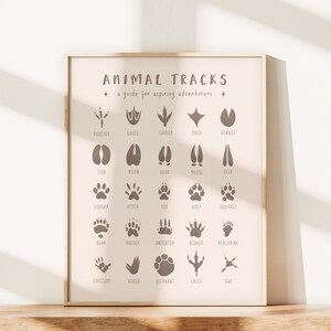 Animal Tracks Educational Posters Watercolor Montessori Printable ...