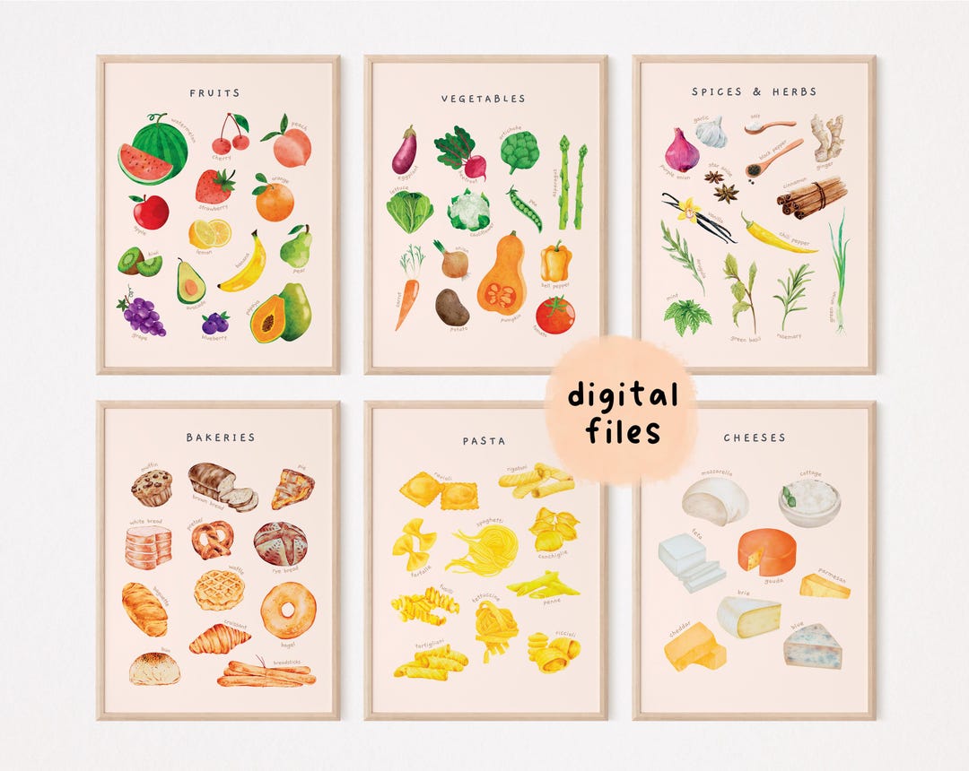 Food Montessori Educational Posters Set of 6 | Printable Homeschool ...