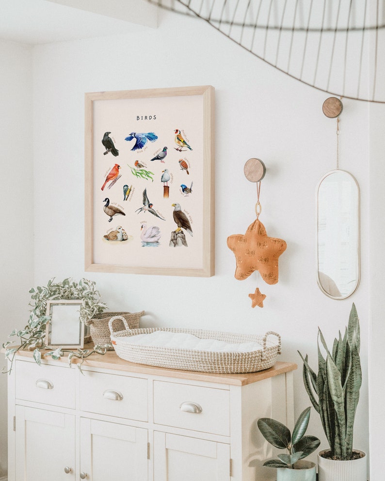 Set of 2 Birds Educational Posters Montessori Wild Exotic Animals ...