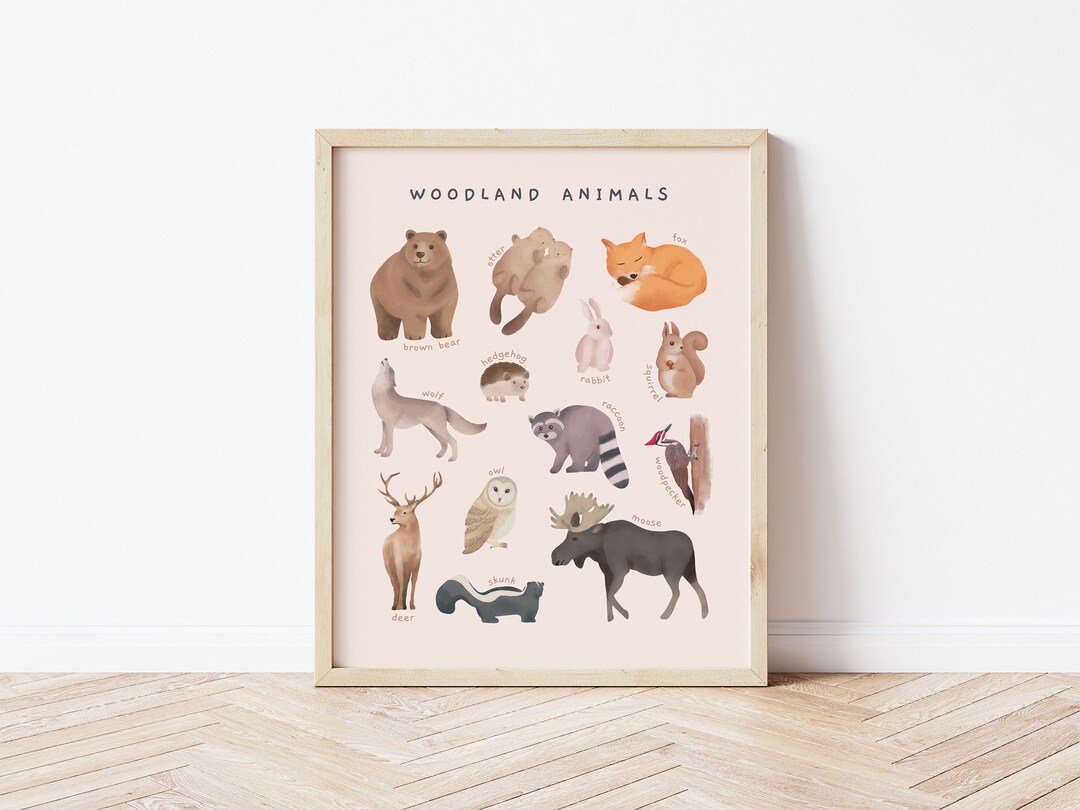 Woodland Animals Educational Poster Earth Tone Montessori - Etsy