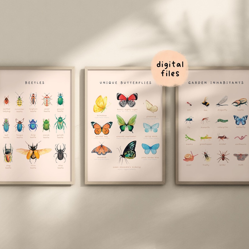 Insect Wall Art - Etsy