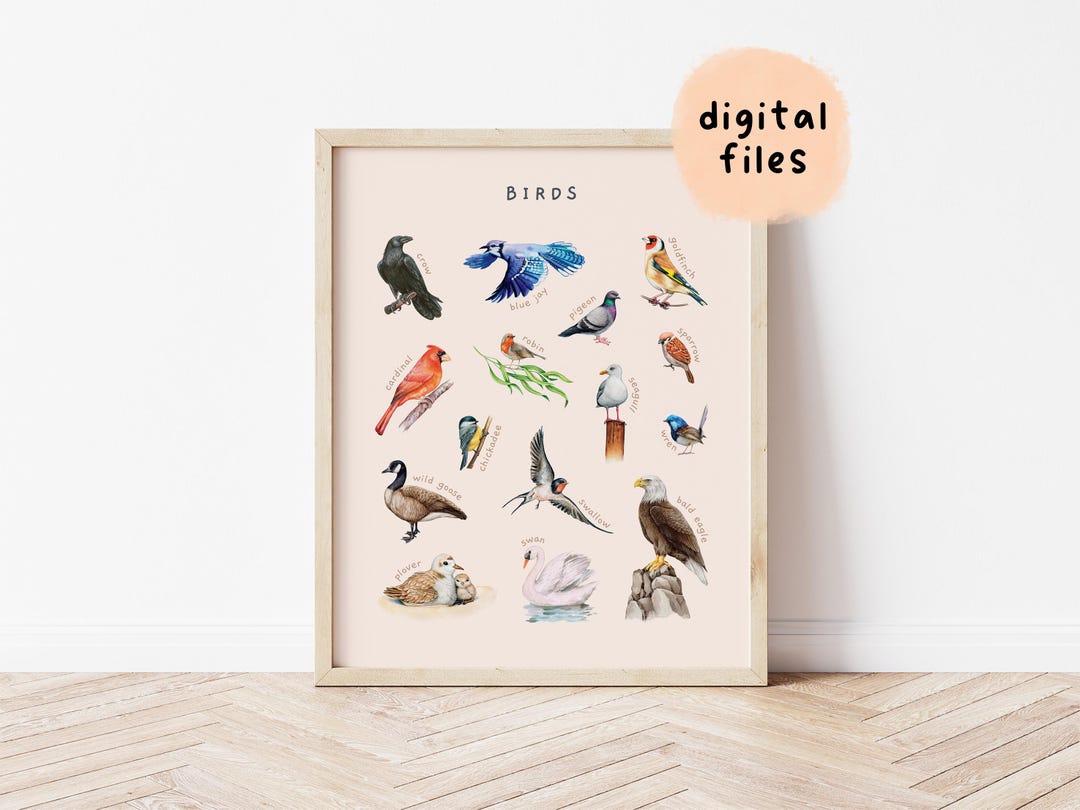 Watercolor Birds Educational Poster | Wild Animals Illustration Print ...
