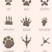Animal Tracks Educational Posters Watercolor Montessori Printable ...