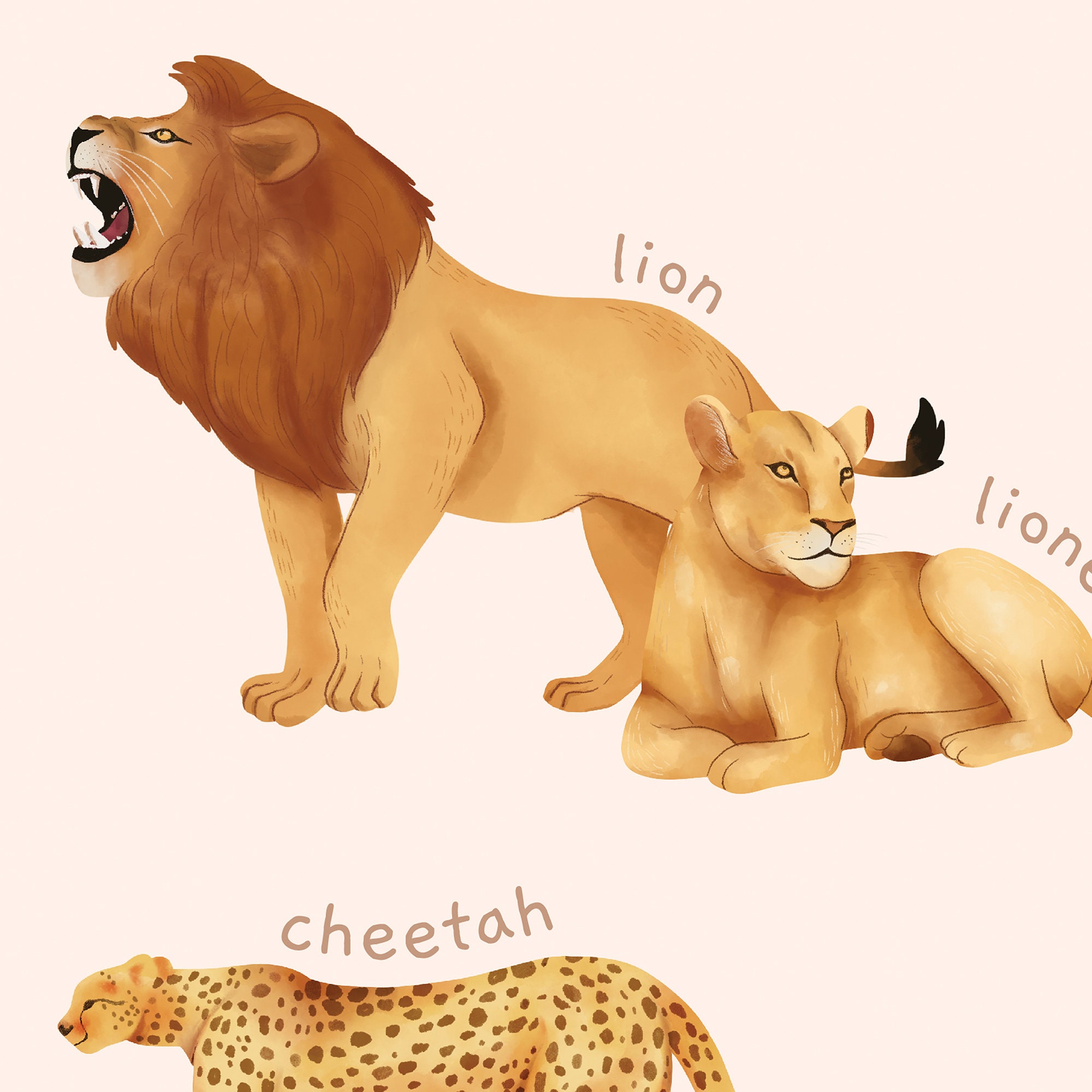 Savanna Animals Educational Poster Watercolor Illustrated African ...