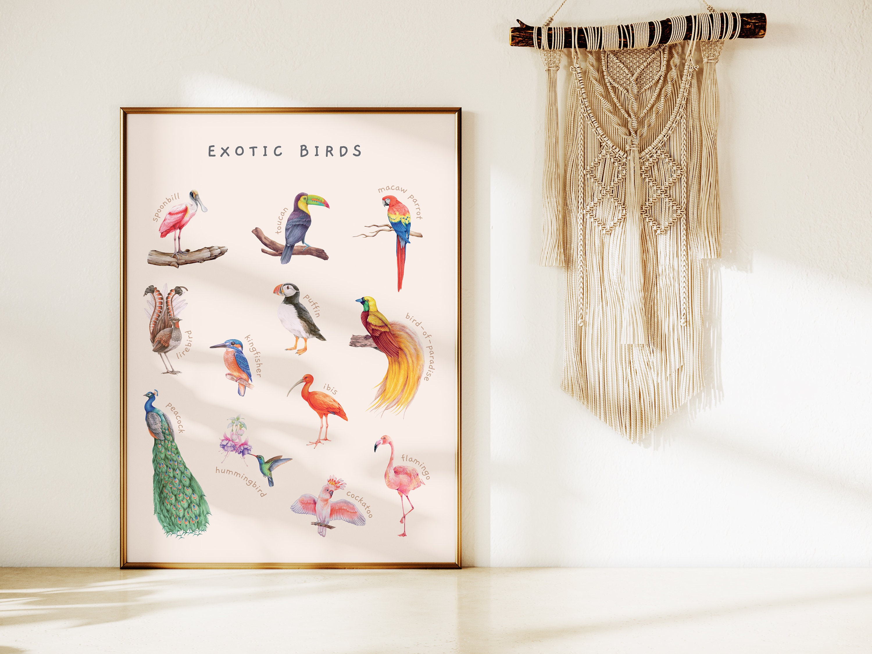 Exotic Birds Educational Poster Watercolor Illustration Wild - Etsy