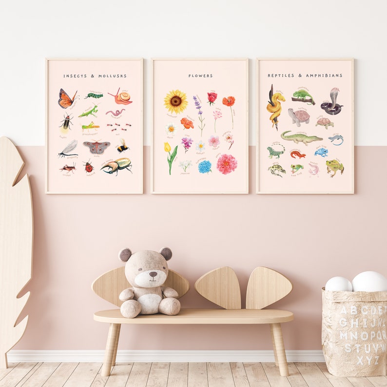 Set of 8 Nature Themed Posters Fruits Veggies Flowers Leaves - Etsy
