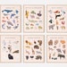 Food & Kitchen Educational Posters Set of 8 Printable Montessori ...