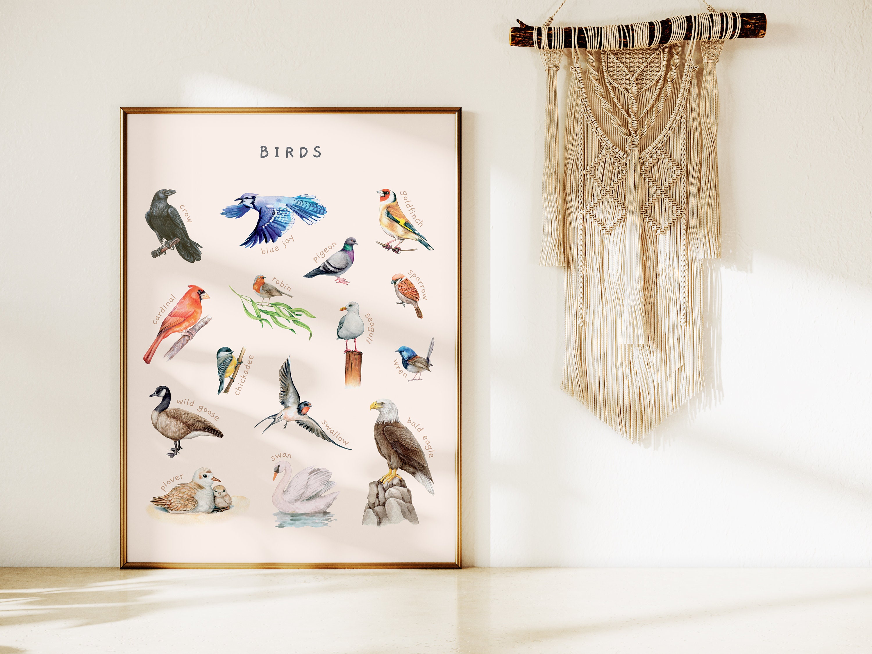 Watercolor Birds Educational Poster | Wild Animals Illustration Print ...