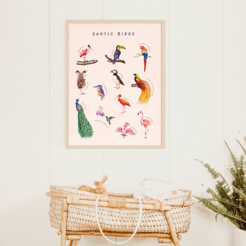 Set of 2 Birds Educational Posters Montessori Wild Exotic Animals ...