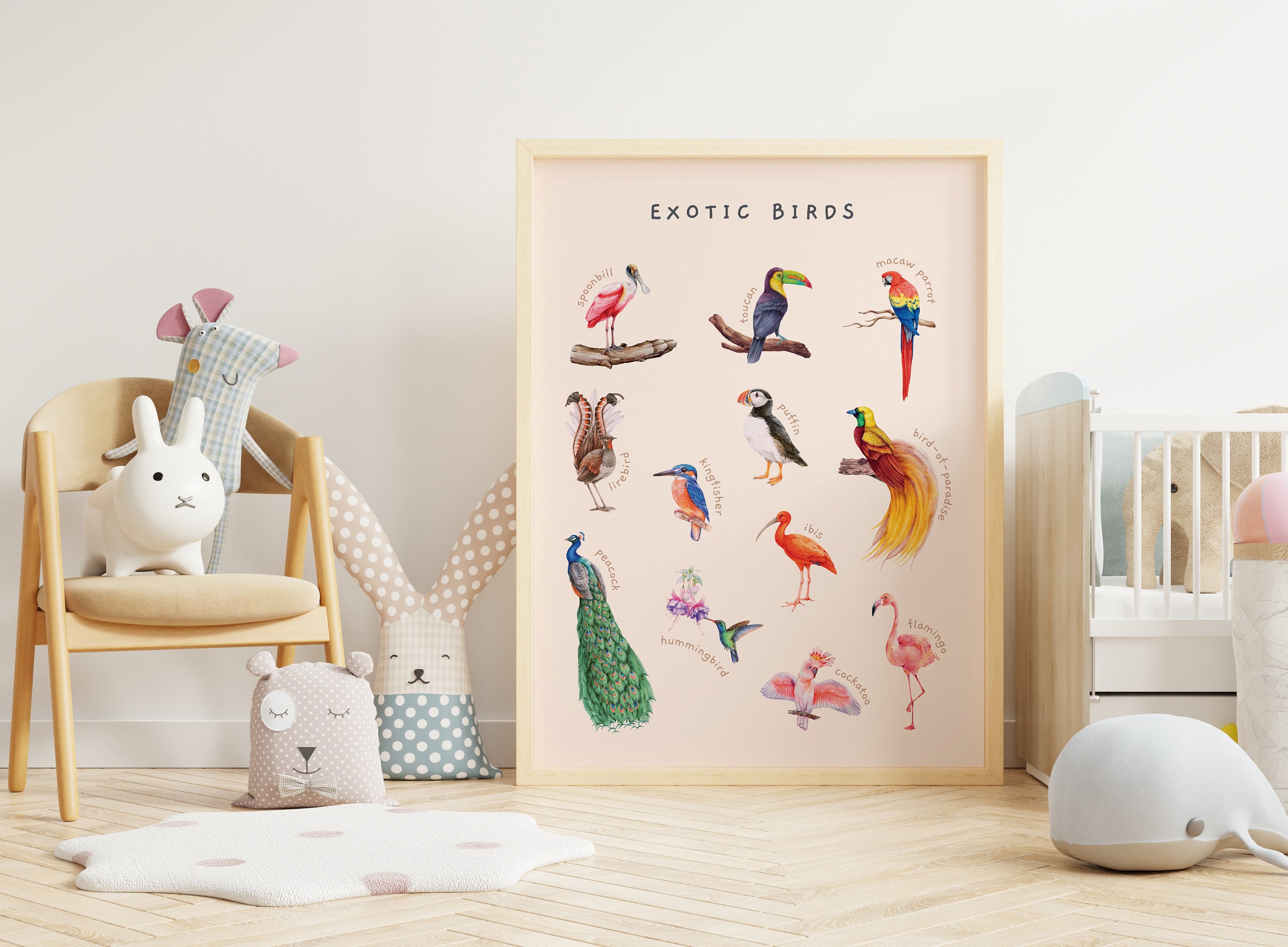 Exotic Birds Educational Poster Watercolor Illustration Wild - Etsy